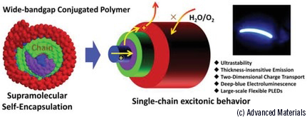 IMDEA Nanociencia - Insulated molecular wires: the smallest electric ...